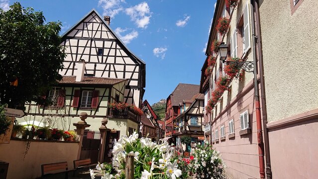 Stubs Bilder – Durchsuchen 41,655 Archivfotos, Vektorgrafiken und ...