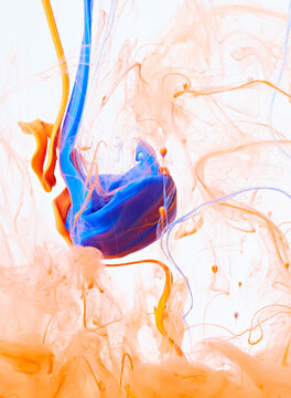 Nik_Merkulov photos, images, assets | Adobe Stock
