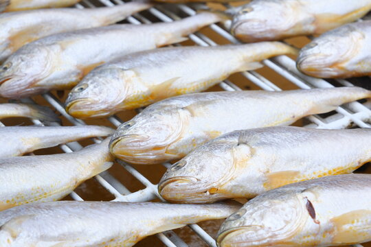 รูปภาพGulbi – เลือกดูภาพถ่ายสต็อก เวกเตอร์ และวิดีโอ788 | Adobe Stock