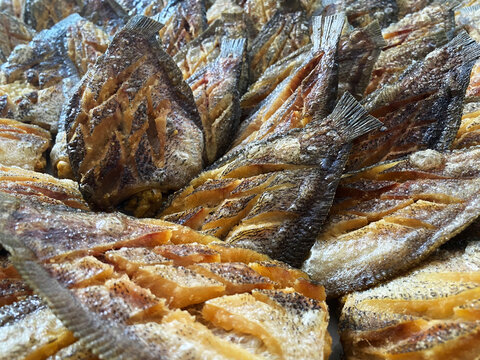 Imágenes de Plasalid: descubre bancos de fotos, ilustraciones, vectores ...