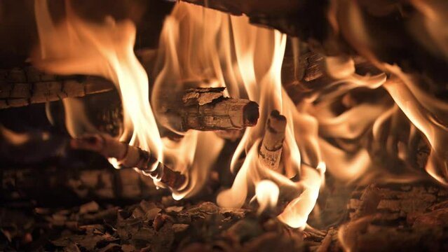 Ardente-Bilder: Stock-Fotos & -Videos. | Adobe Stock