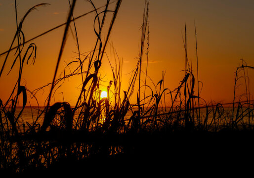 Afbeeldingen over "Day Break" – Blader in stockfoto's, vectoren en ...