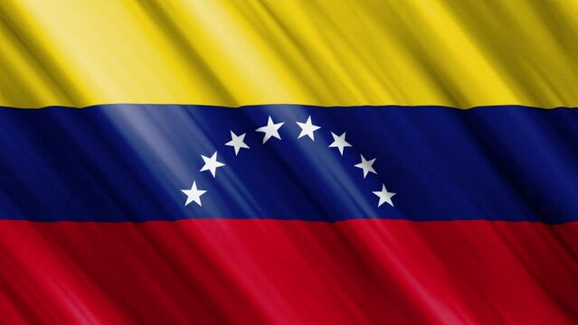 Official Venezuelan Flag