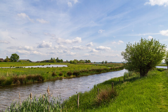 Hoogland Bilder – Durchsuchen 70 Archivfotos, Vektorgrafiken und Videos ...