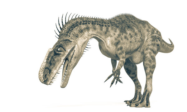 รูปภาพCarnosauria – เลือกดูภาพถ่ายสต็อก เวกเตอร์ และวิดีโอ351 | Adobe Stock