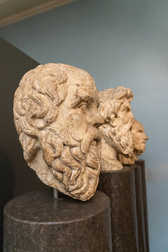 Chrysippus Images – Browse 1,768 Stock Photos, Vectors, and Video ...