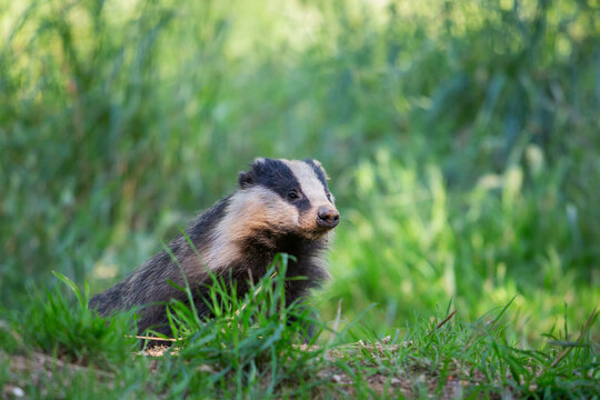 รูปภาพ"Dumfries – เลือกดูภาพถ่ายสต็อก เวกเตอร์ และวิดีโอ1,563 | Adobe Stock