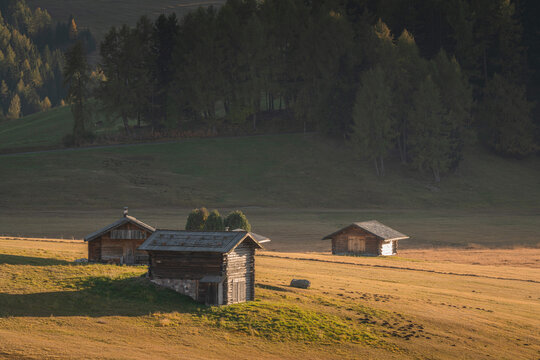รูปภาพLoge – เลือกดูภาพถ่ายสต็อก เวกเตอร์ และวิดีโอ5,534 | Adobe Stock