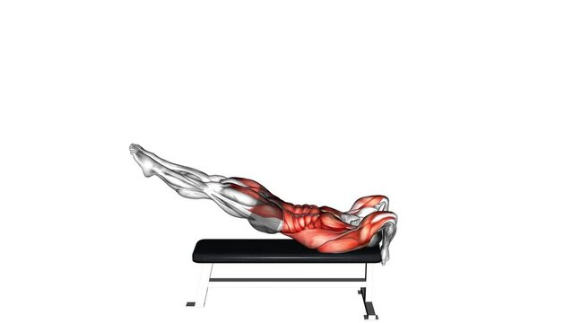 Lying Leg Raises Muscles Worked