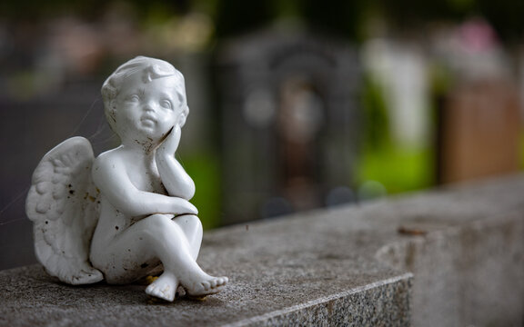 รูปภาพAntecedents – เลือกดูภาพถ่ายสต็อก เวกเตอร์ และวิดีโอ46,101 ...