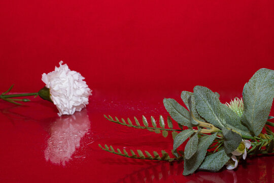 Lujuria Bilder – Durchsuchen 265 Archivfotos, Vektorgrafiken und Videos ...