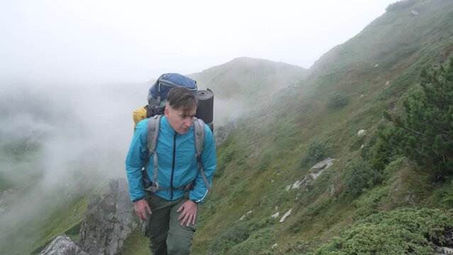 Seizing Images – Browse 83,803 Stock Photos, Vectors, and Video | Adobe ...