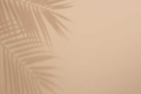"Soft Image" Images – Browse 2,060 Stock Photos, Vectors, and Video ...