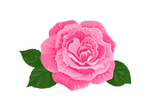 Single Flower Cartoon Images – Browse 17,143 Stock Photos, Vectors, and ...