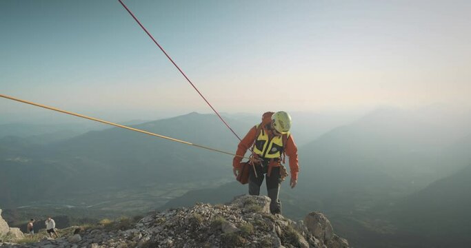 Frons Images – Browse 3,822 Stock Photos, Vectors, and Video | Adobe Stock