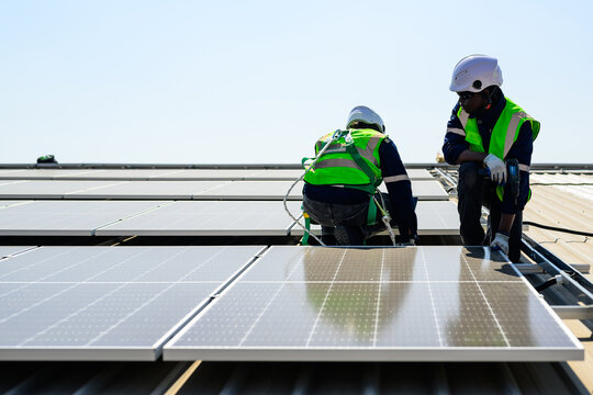 Osern Bilder – Durchsuchen 32,147 Archivfotos, Vektorgrafiken und ...