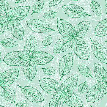 mint pattern png