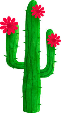 Mandacaru Imagens – Procure 1,056 fotos, vetores e vídeos | Adobe Stock