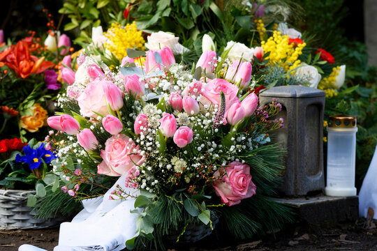 Interflora Bilder – Durchsuchen 12,394 Archivfotos, Vektorgrafiken und ...
