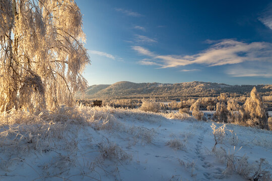 Lodu Images – Parcourir 24,470 le catalogue de photos, vecteurs et ...