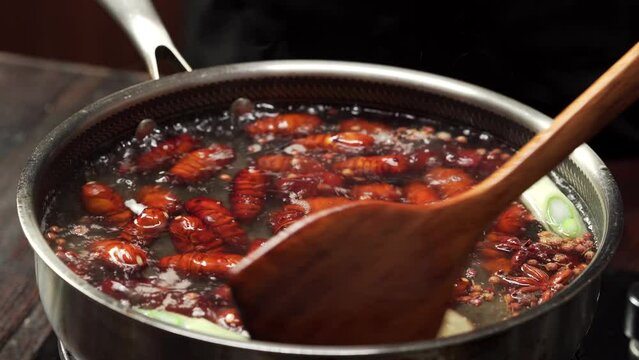 Cocoon Images – Parcourir 39,163 le catalogue de photos, vecteurs et ...