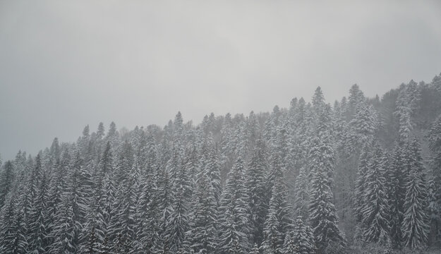"Winter Scenes" Bilder – Durchsuchen 571 Archivfotos, Vektorgrafiken ...