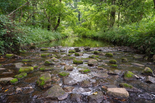 Menader bilder – Bläddra bland 3,594 stockfoton, vektorer och videor ...