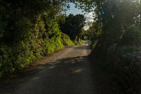 Marg Bilder – Durchsuchen 763 Archivfotos, Vektorgrafiken und Videos ...