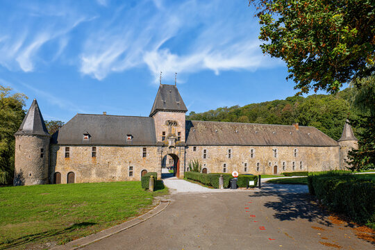 Spontin Images – Browse 56 Stock Photos, Vectors, and Video | Adobe Stock