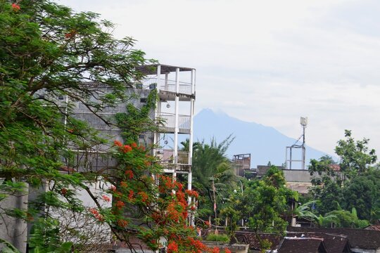 Semarak bilder – Bläddra bland 4 stockfoton, vektorer och videor ...
