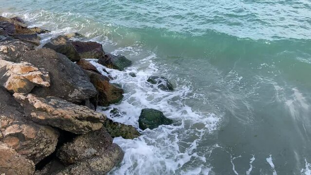 Pedaso Images – Browse 55 Stock Photos, Vectors, and Video | Adobe Stock