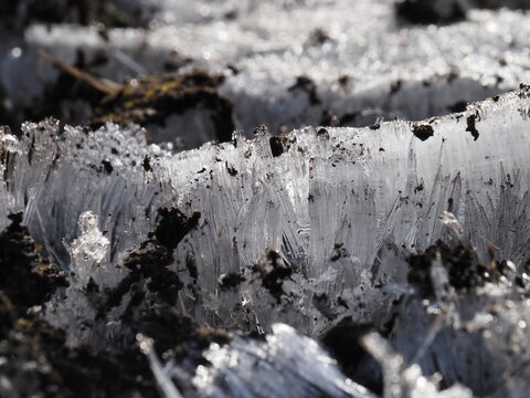 รูปภาพVoogd – เลือกดูภาพถ่ายสต็อก เวกเตอร์ และวิดีโอ5,736 | Adobe Stock