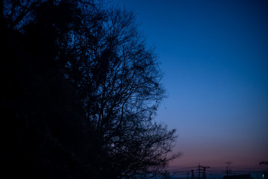 "Dunkle Bilder – Durchsuchen 378,688 Archivfotos, Vektorgrafiken und ...