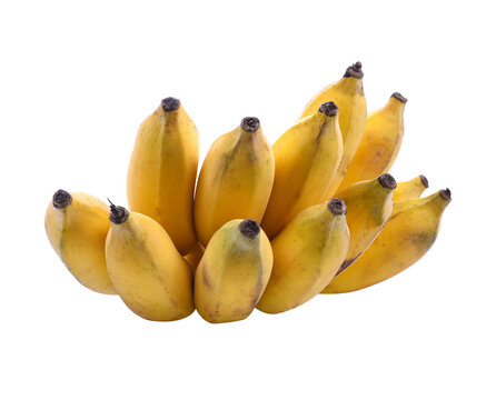 Imágenes de Banch: descubre bancos de fotos, ilustraciones, vectores y ...