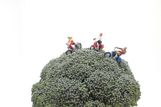 Kohltour Bilder – Durchsuchen 1,436 Archivfotos, Vektorgrafiken und ...