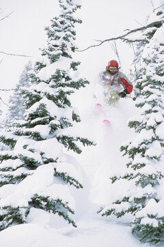 «Cavan Images» — фотографии, изображения, ресурсы | Adobe Stock