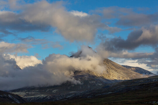 Galyna Andrushko : photos, images, fichiers | Adobe Stock
