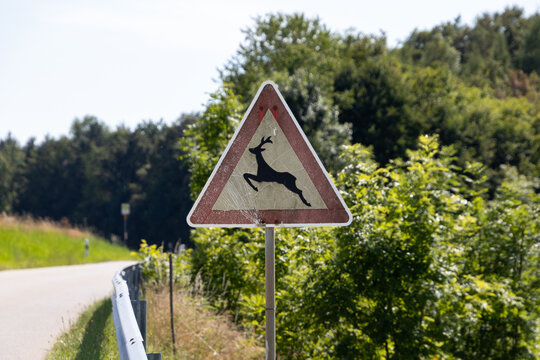 Wildwechsel-Schild Bilder – Durchsuchen 193 Archivfotos, Vektorgrafiken ...