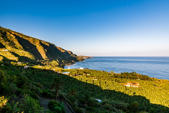 Castrat Images – Parcourir 2,026 le catalogue de photos, vecteurs et ...