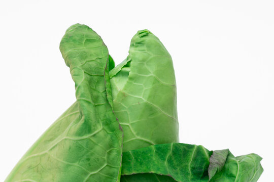 Spitzkohl Bilder – Durchsuchen 924 Archivfotos, Vektorgrafiken und ...