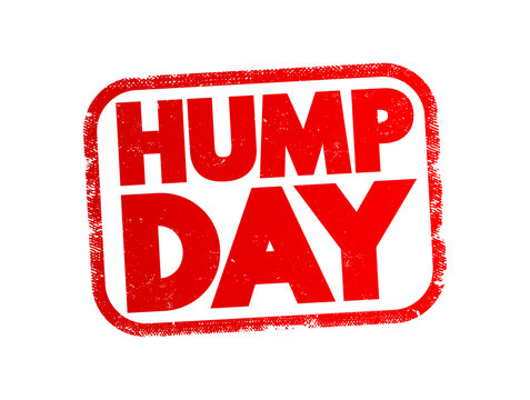 Hump Day Logo 66 Hump Day Camel Stock Vectors And Vector Art