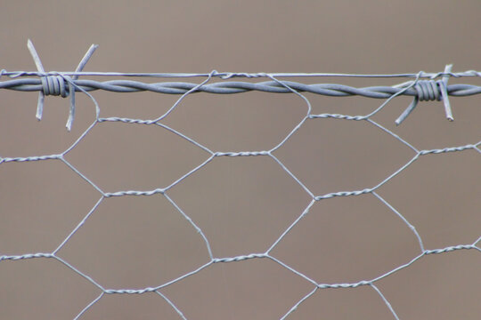 รูปภาพBarb-Wire – เลือกดูภาพถ่ายสต็อก เวกเตอร์ และวิดีโอ151 | Adobe Stock