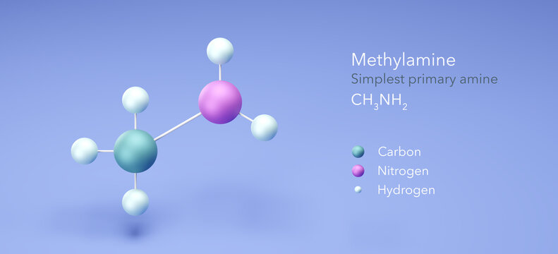 รูปภาพAminomethane – เลือกดูภาพถ่ายสต็อก เวกเตอร์ และวิดีโอ103 | Adobe ...