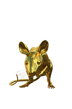 "Golden Mouse" Imagens – Procure 193 fotos, vetores e vídeos | Adobe Stock