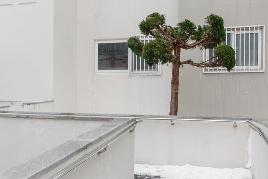 รูปภาพBaluster – เลือกดูภาพถ่ายสต็อก เวกเตอร์ และวิดีโอ188,031 | Adobe ...