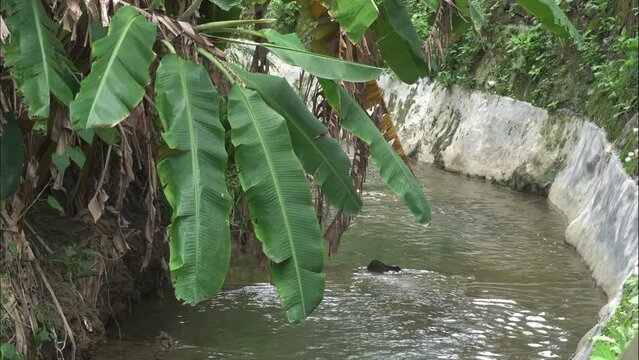 Imagens de Ditch – Explore Fotografias do Stock, Vetores e Vídeos de ...