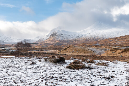 Bubh Images – Browse 7 Stock Photos, Vectors, and Video | Adobe Stock