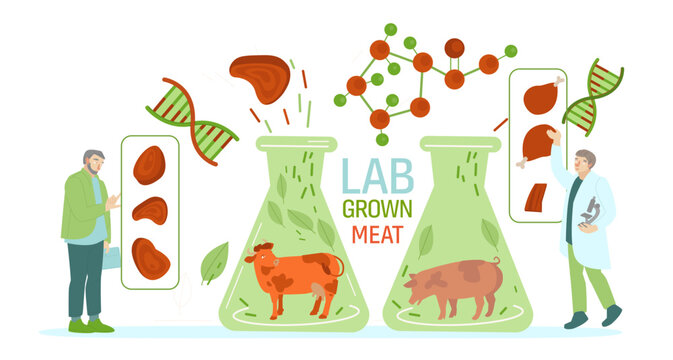 Lab-Grown Images – Browse 1,103 Stock Photos, Vectors, and Video ...