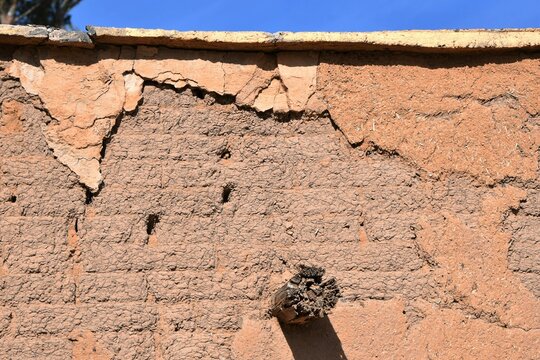 "Adobe Bricks" Images – Browse 218 Stock Photos, Vectors, and Video ...