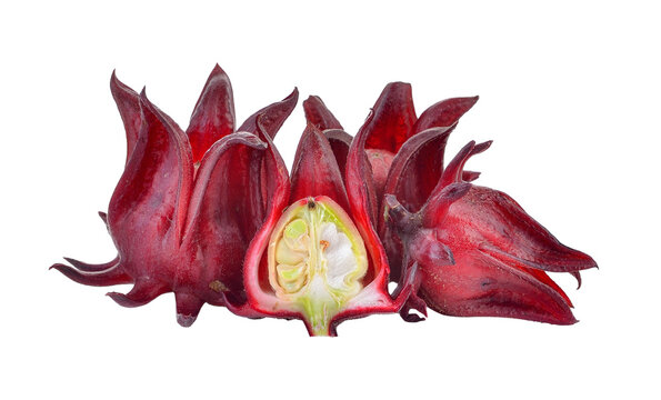 Roselle Images – Browse 9,911 Stock Photos, Vectors, and Video | Adobe ...